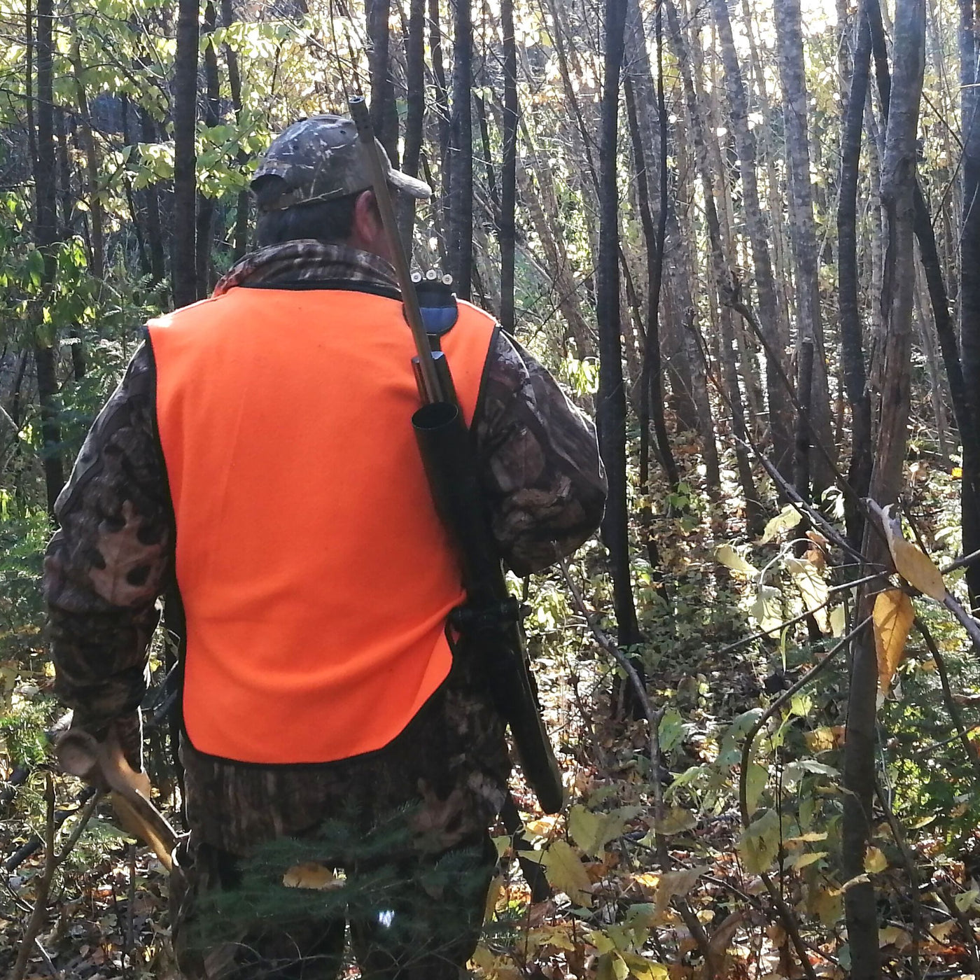 Pronature : passionnés de plein air, chasse et pêche — Groupe Pronature