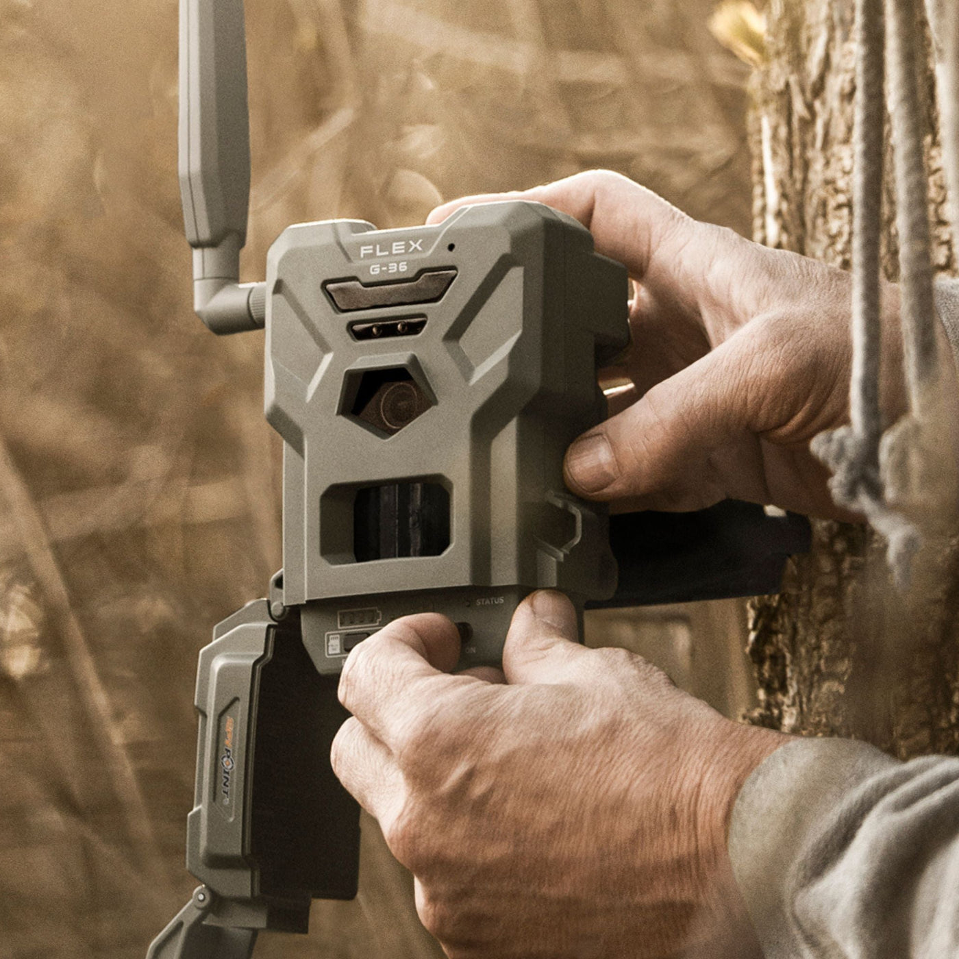 All you need to know about White-Tail Deer hunting in Quebec - 2025 ...