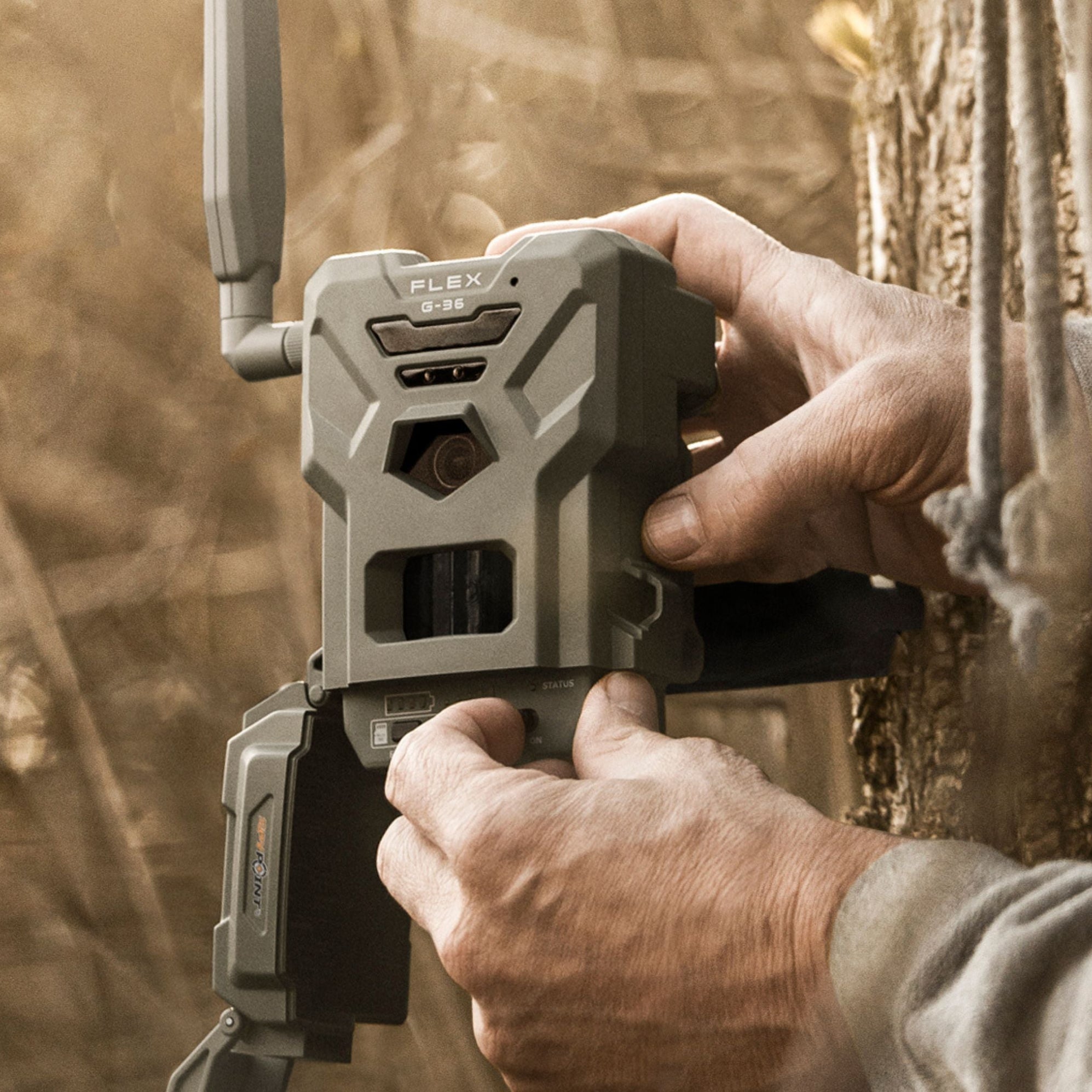 All you need to know about White-Tail Deer hunting in Ontario - 2025 ...