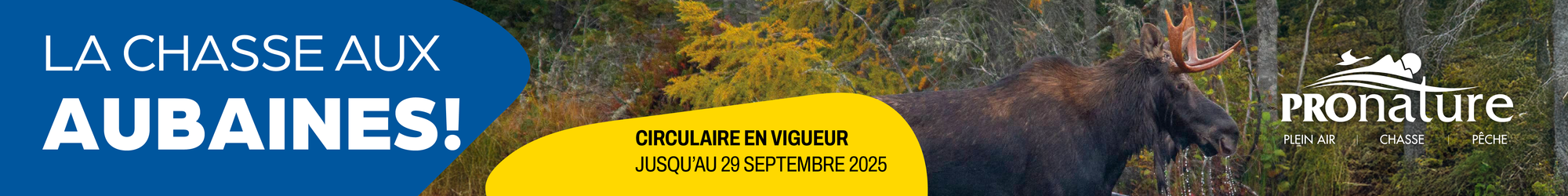 Appeau électronique ''Cocall 2X'' avec carte orignal et chevreuil ...